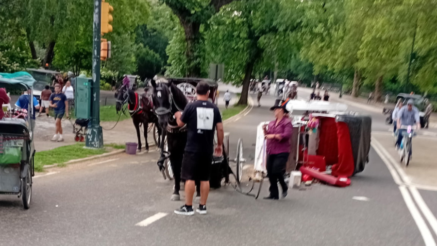 Teen tourist dies in fall from horse-drawn carriage in Central Park ...