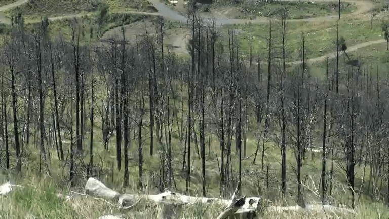 New Mexico lawmakers see firsthand what local agencies are doing to ...