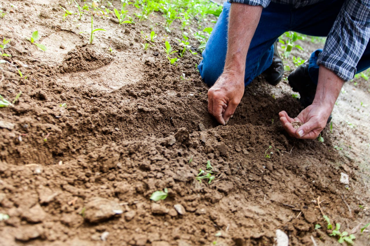 15 relaxing summer activities for retirees in 2026