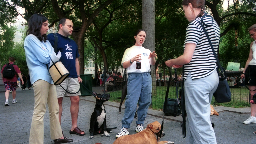 Effective training techniques for better dog behavior