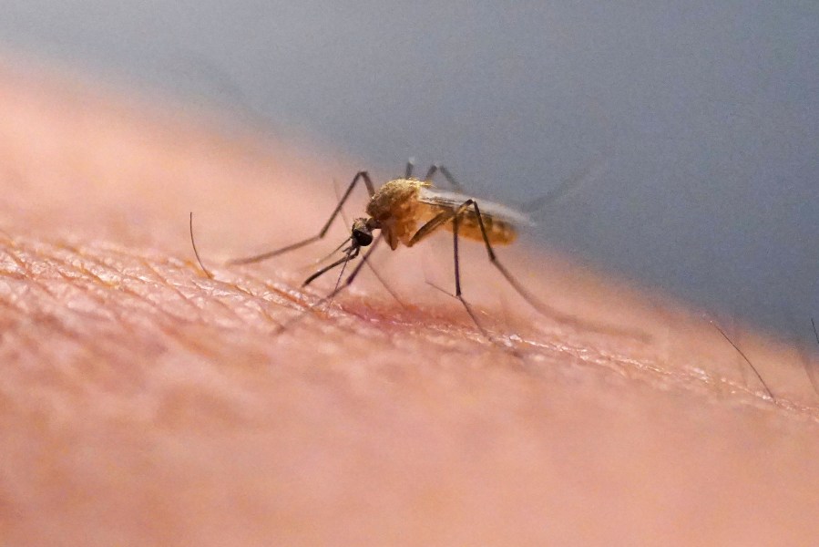 Henry County Health Dept. finds first West Nile virus of 2026 in ...