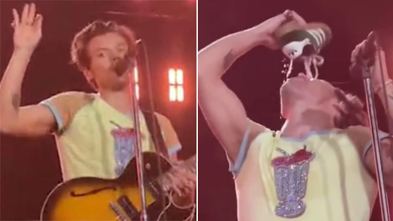 Harry Styles belts out classic anthem Horses and does shoey onstage as ...
