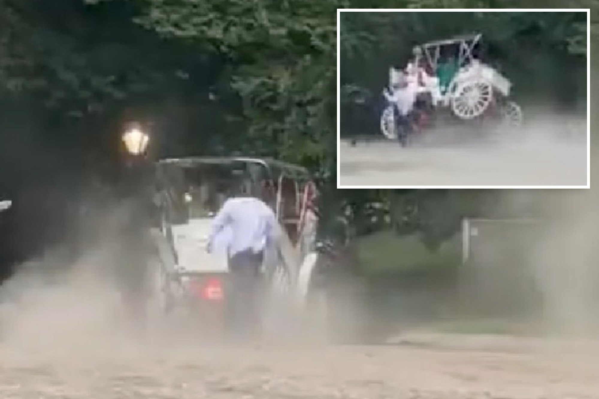 Teen tourist killed after NYC carriage horse gets startled, bolts in ...