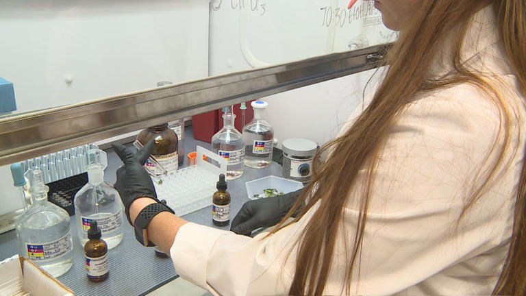 TBI's Knoxville crime lab earns global award