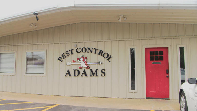 Prevention keeps bugs out of homes this summer, experts say
