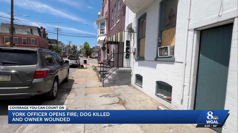 DA says video shows officer justified after unleashed 'pit bull mix ...