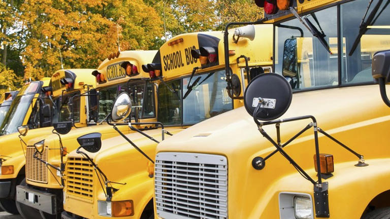Try it out: Get hands-on experience as a school bus driver in Derby
