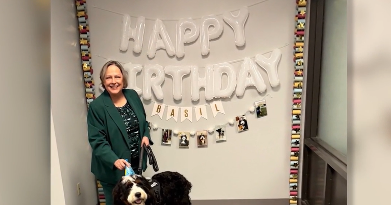 Hamilton County prosecutor’s office celebrates therapy dog Basil’s ...