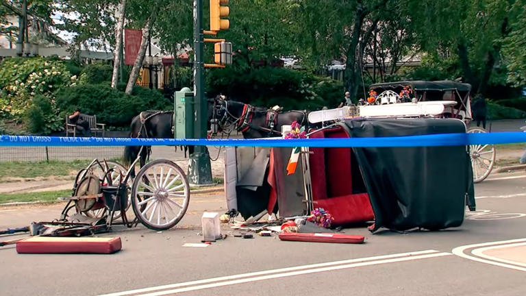 18-year-old tourist dies after falling from runaway Central Park horse ...