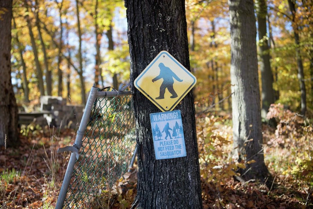 Mysterious creatures shape New York folklore