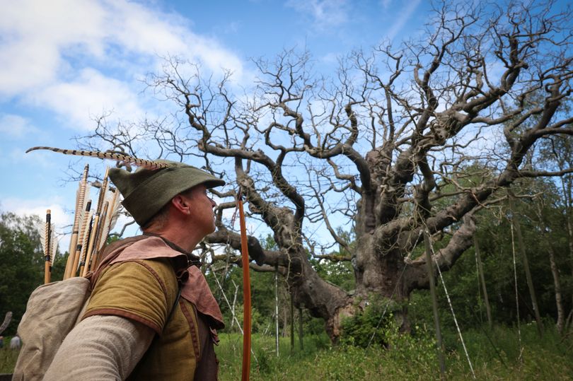 At 1,000 years old, Sherwood Forest's Major Oak is finally dead