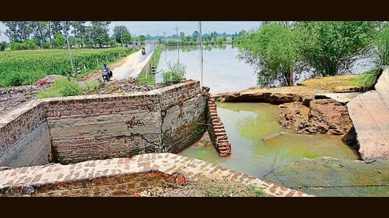Ludhiana: Canal wall breach damages crops, farmers seek relief