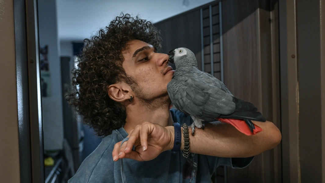 14 animals showing remarkably human behaviors