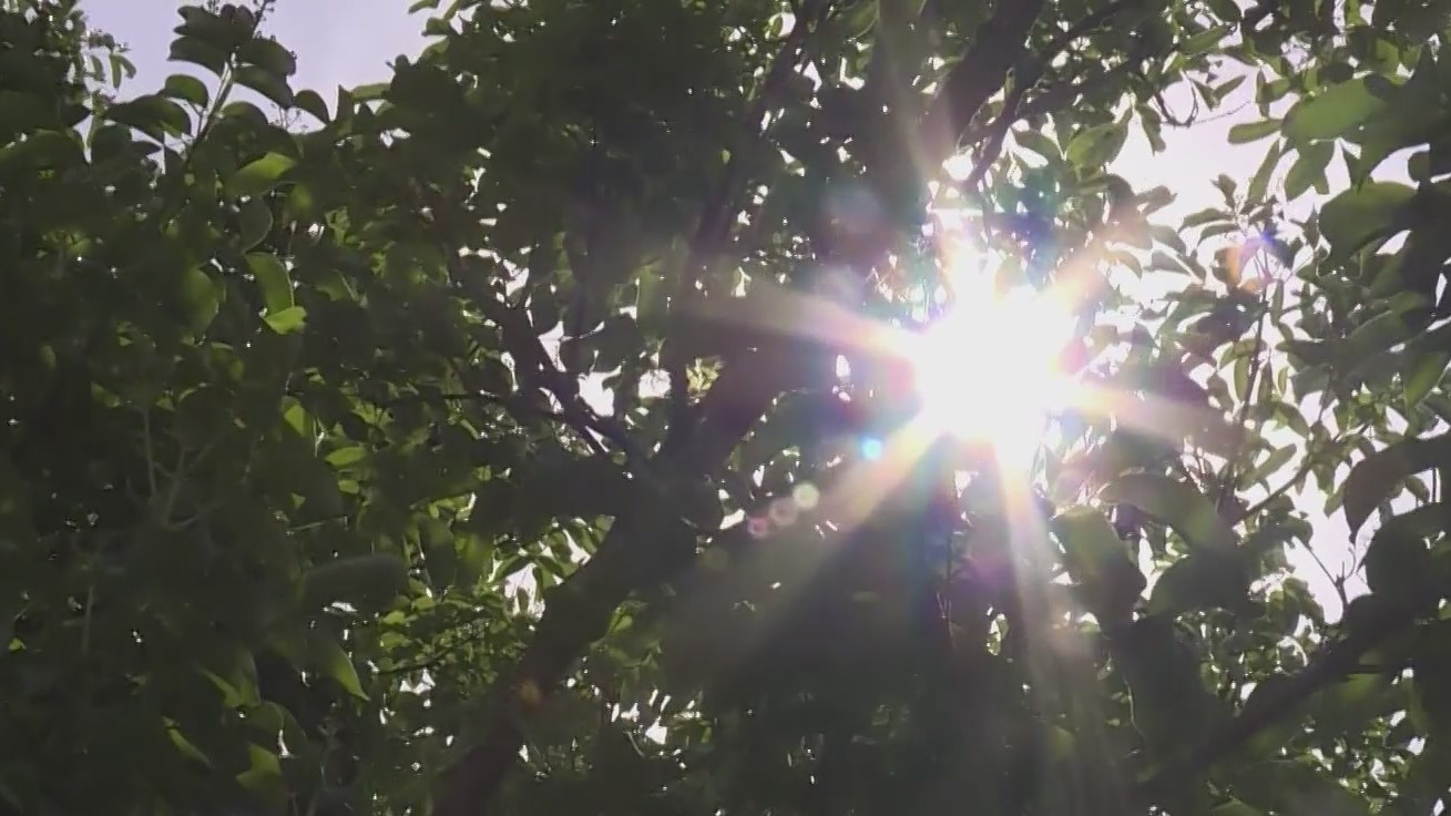 Suspected heat deaths in Multnomah County prompt readiness questions