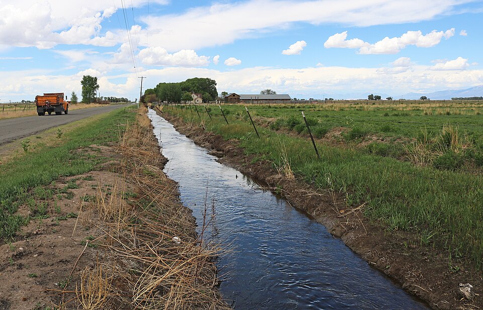 'This year was just the worst': Colorado sweet corn farmers face a ...