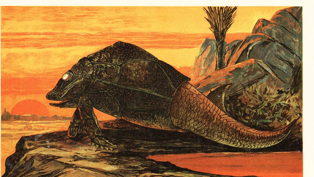 6 prehistoric predators and giants before dinosaurs