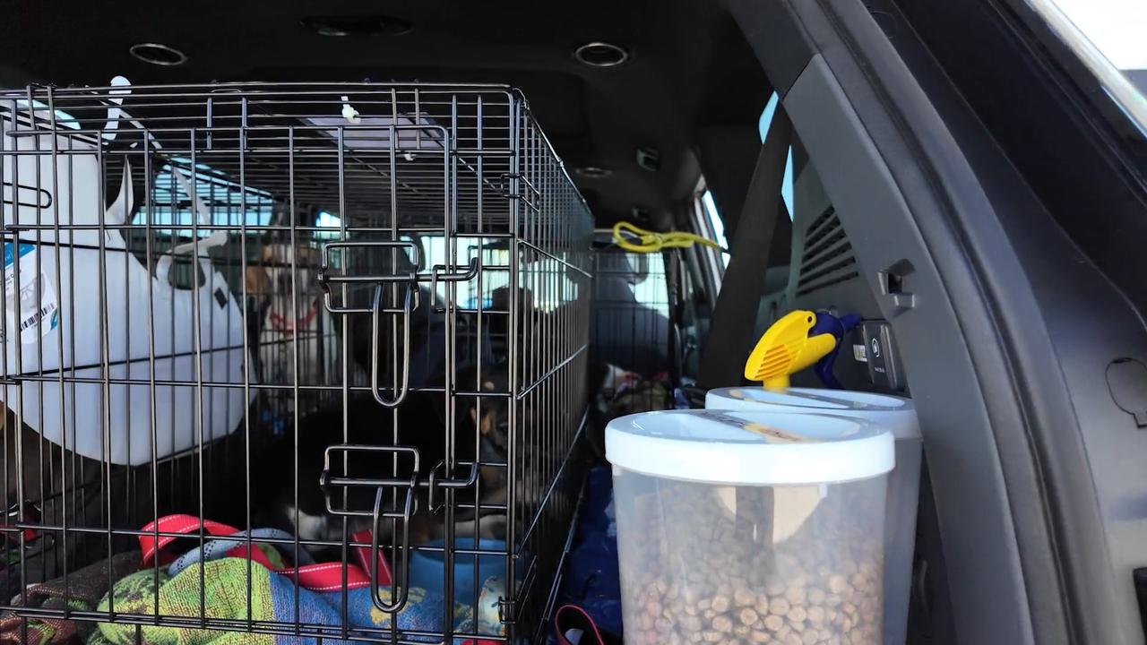 Operation Frodo is the rescue story America needs