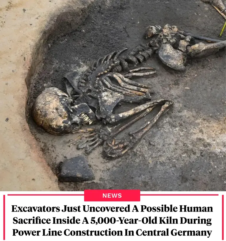 Power line construction in Germany just turned up the 5,000-year-old ...
