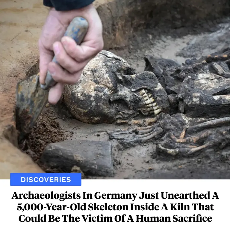 Power line construction in Germany just turned up the 5,000-year-old ...