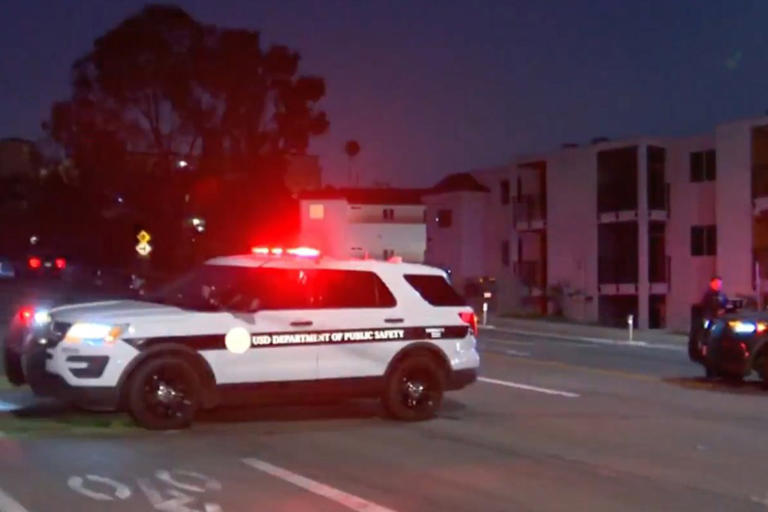 USD student is hit and killed by cop car — as horrific details emerge