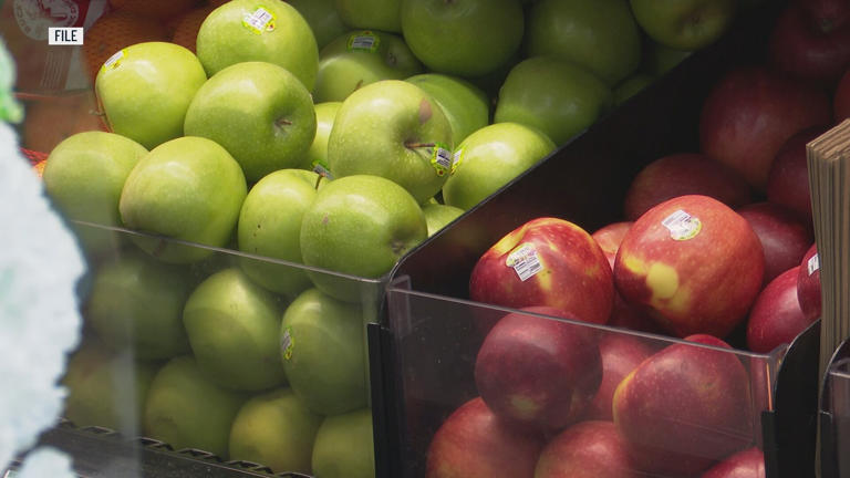 MDHHS and Michigan Department of Education continuing summer food ...