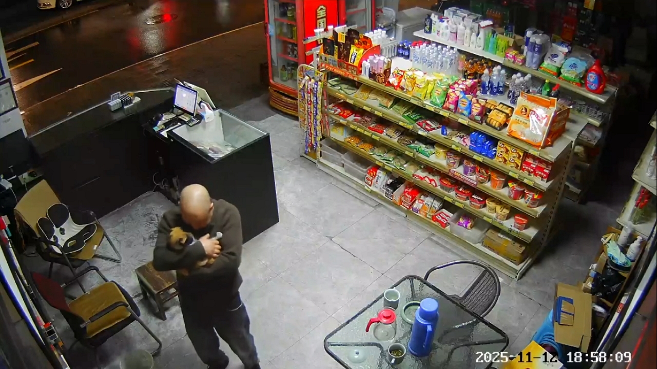 Lost cat returns to owner in Zhejiang convenience store