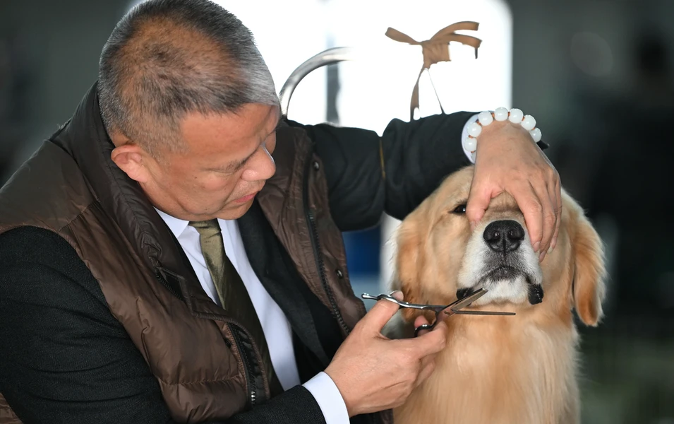 Smart care tips for a happier, healthier dog