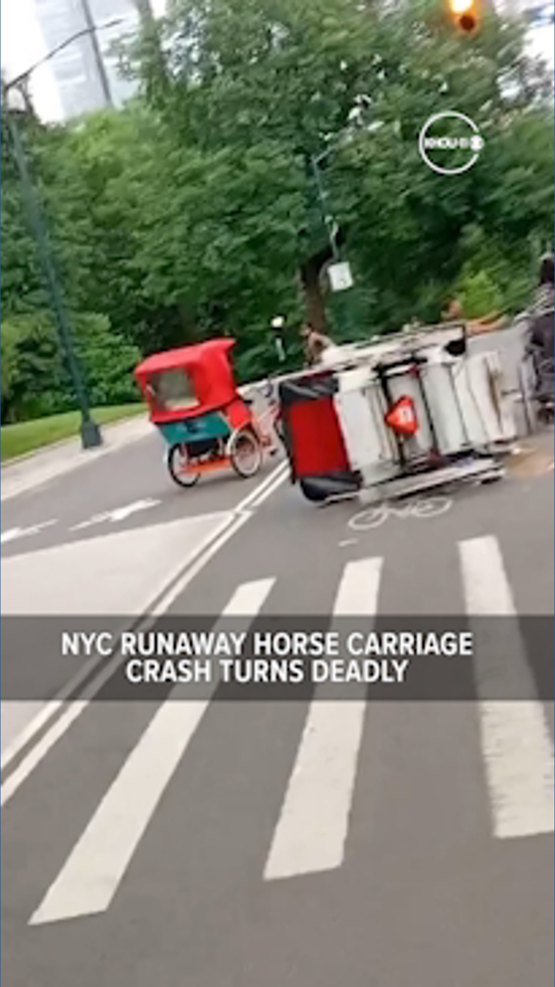 NYC runaway horse carriage crash turns deadly