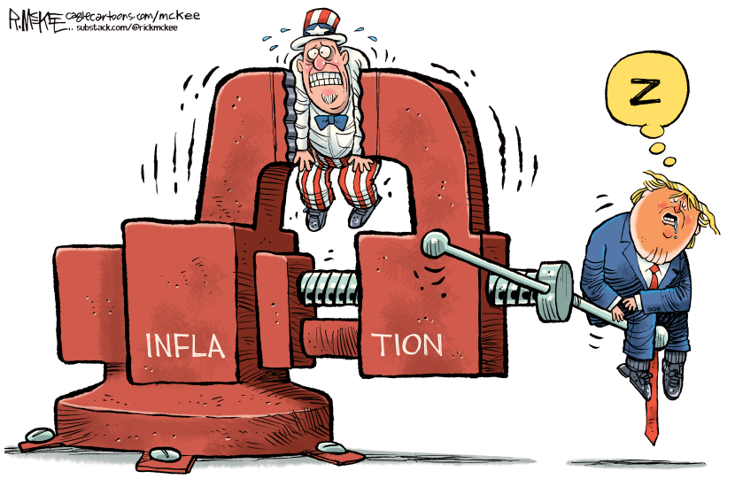 Inflation cartoons that nail the pain of prices, politics and gas