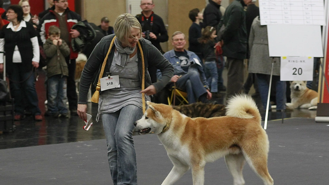 19 loyal and loving dog breeds
