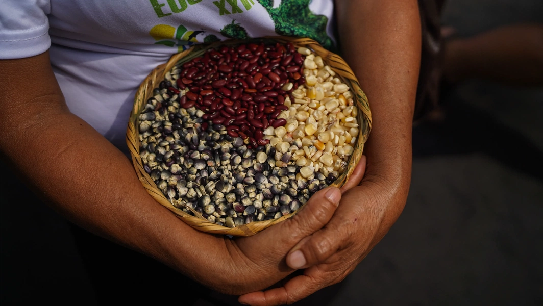 11 traditional Native American foods and their cultural roots