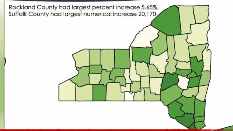 How New York's population decrease, and shifts, could impact its ...