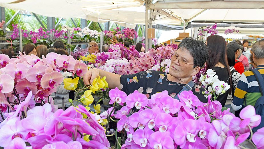 15 stunning flowers and their cultural meanings