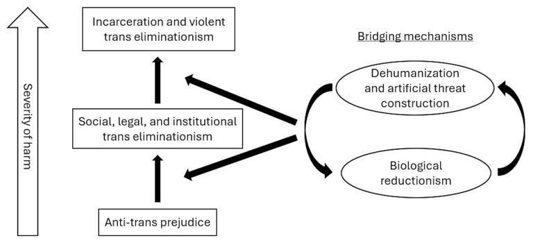 From prejudice to harm – current policies targeting trans people follow ...
