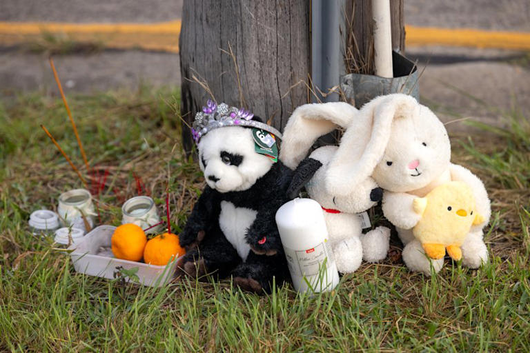 'Hearts broken into a million pieces': Parents of children killed in ...