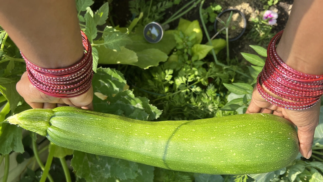 Zucchini recipes that make summer dinners easy