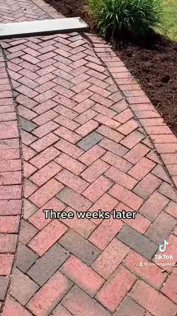 Driveway maintenance tips for long lasting results