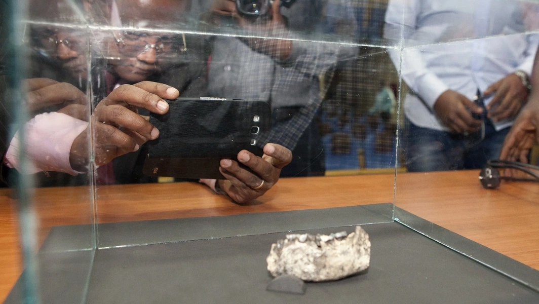 Fossil and DNA finds reveal complex human origins