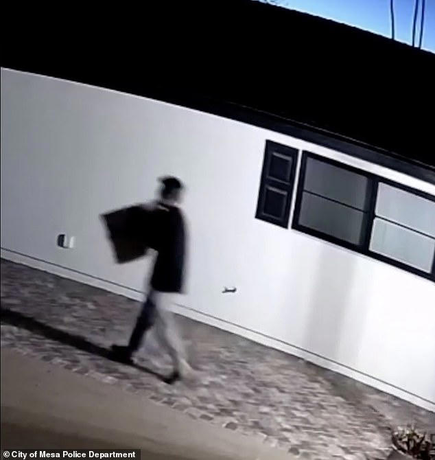 Brazen porch pirate stole 20 packages worth $3,000 from Arizona homes ...