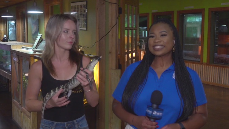 Southeast Texas woman’s viral alligator photos highlight her passion ...