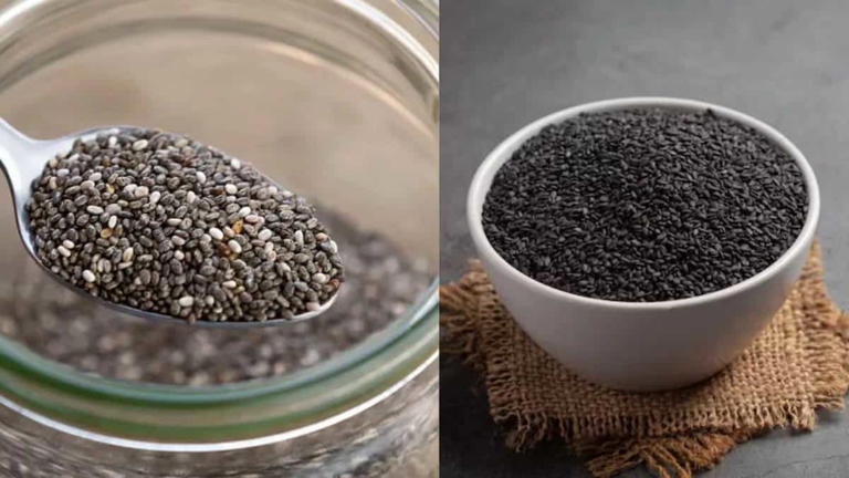 Sabja vs chia: Which seed works better in Indian summers?