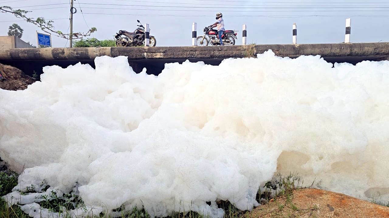 Sewage causing Palar river froth: TNPCB to NGT