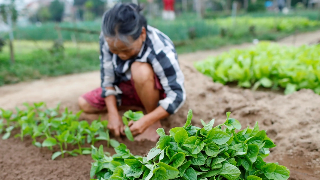 7 time-tested gardening techniques and traditions