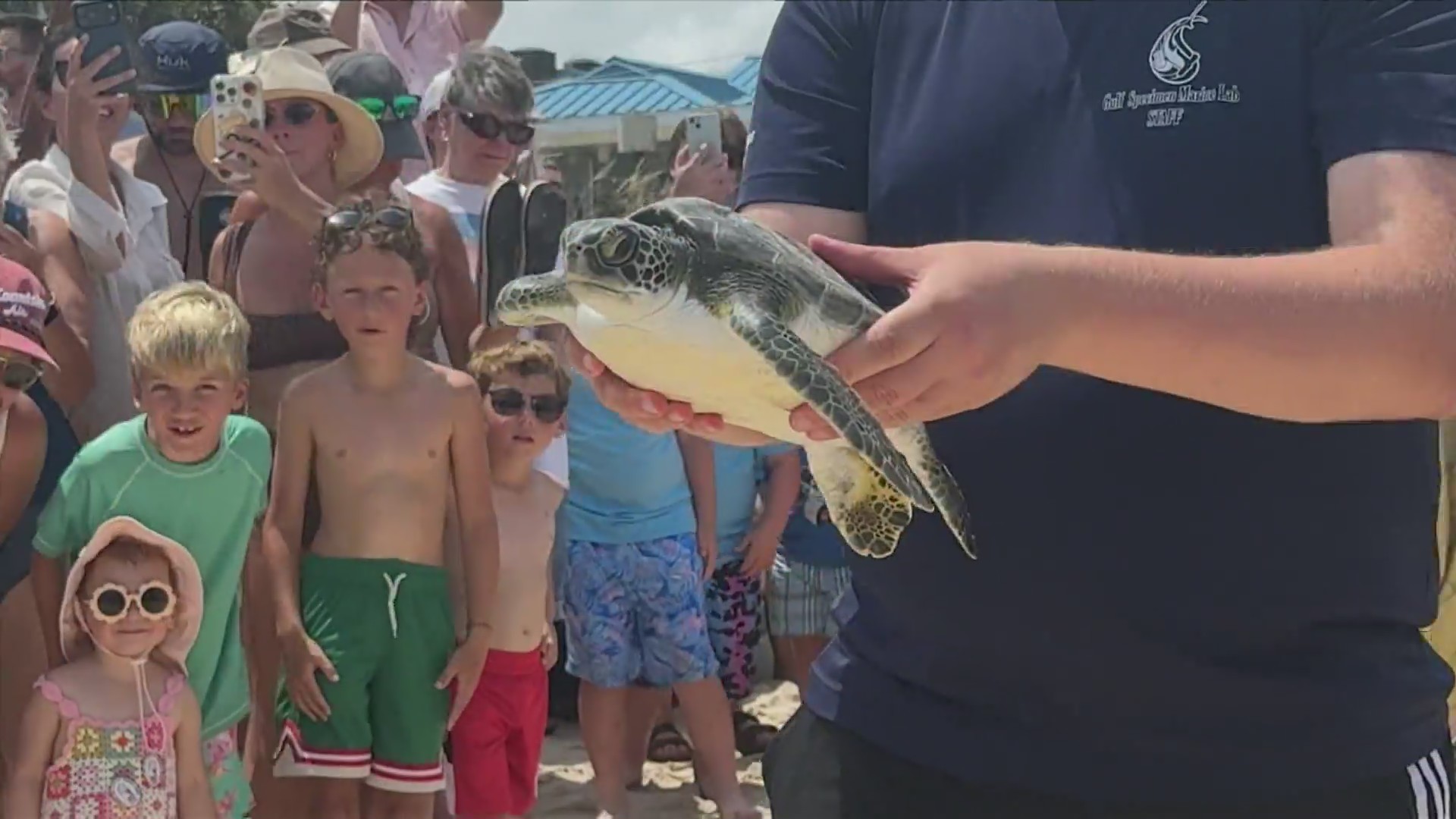Bye-bye Bolognese: Sea turtle released at St. George Island
