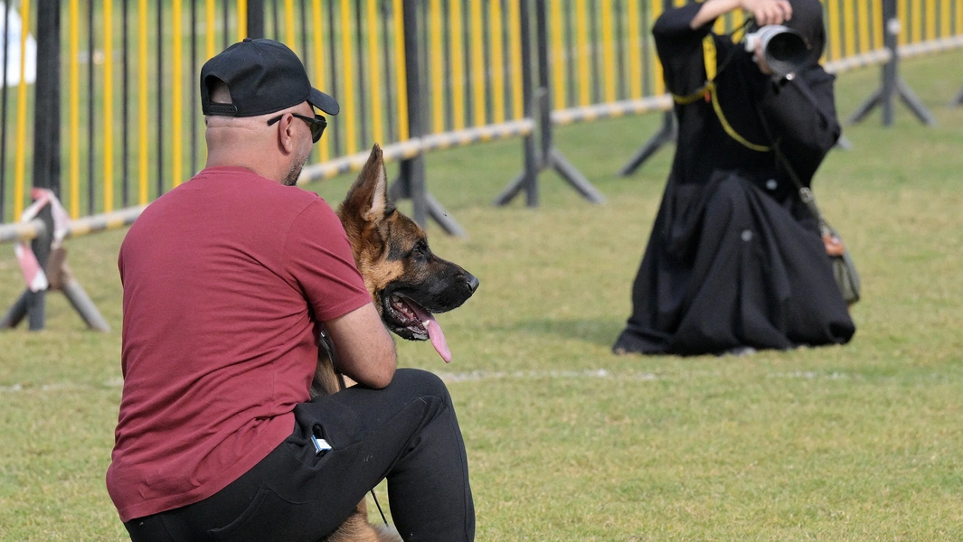 16 dog breeds with remarkably human-like connections