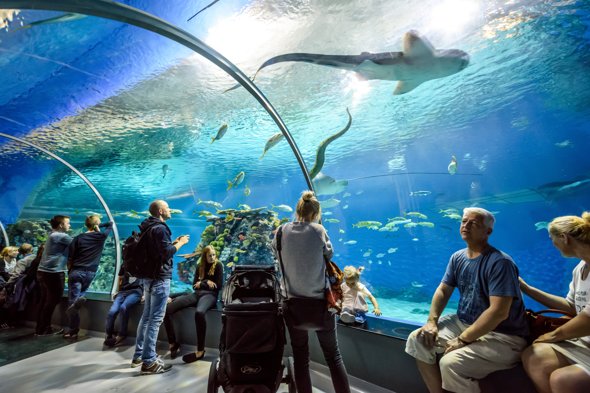 The world's most spectacular aquariums