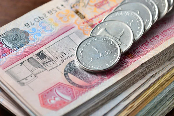 Got Dhs1,000? UAE opens government-backed investing to the public