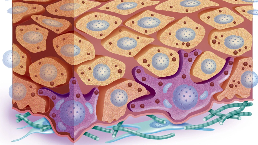 How to protect and boost skin collagen