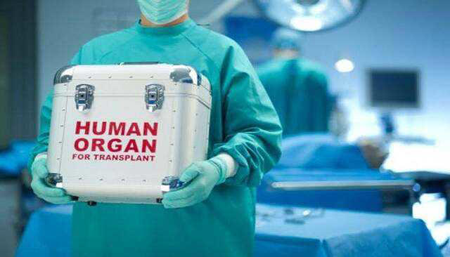 Kerala govt forms SIT to probe organ trafficking, document forgeries in ...