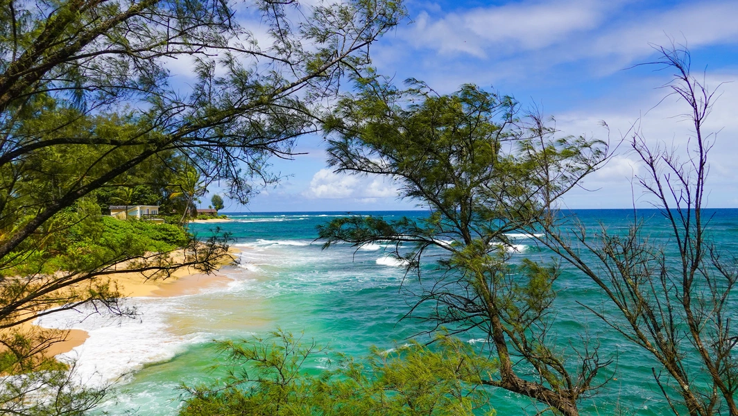 8 best US beaches for scenic beauty and wildlife